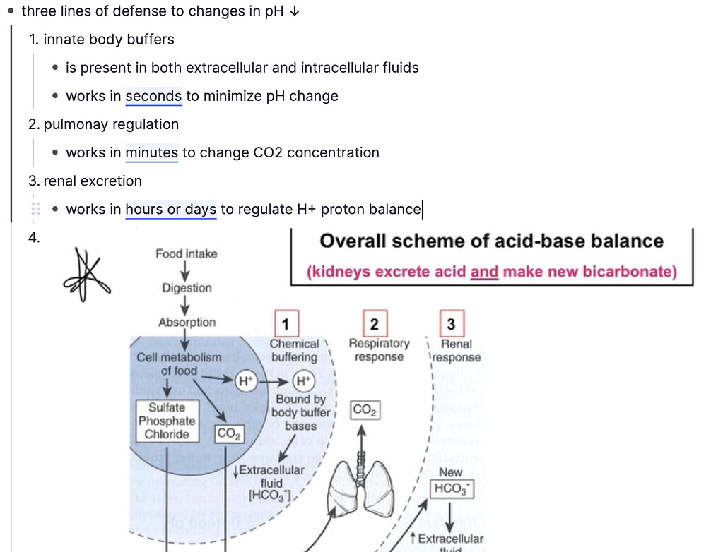 "List feature" is broken - Learning RemNote - RemNote